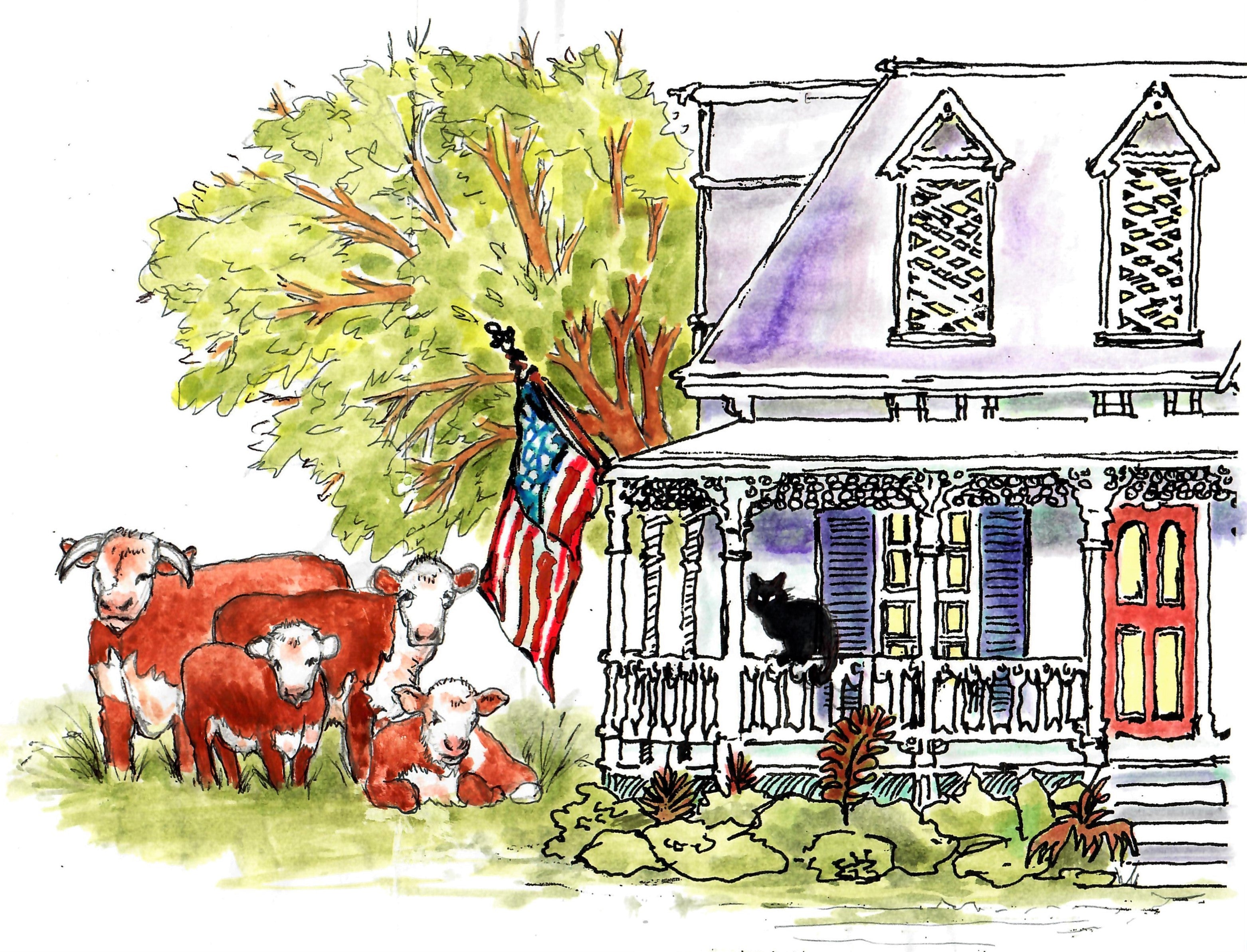 Cat And Several Hereford Cattle Standing Around Their Victorian Style